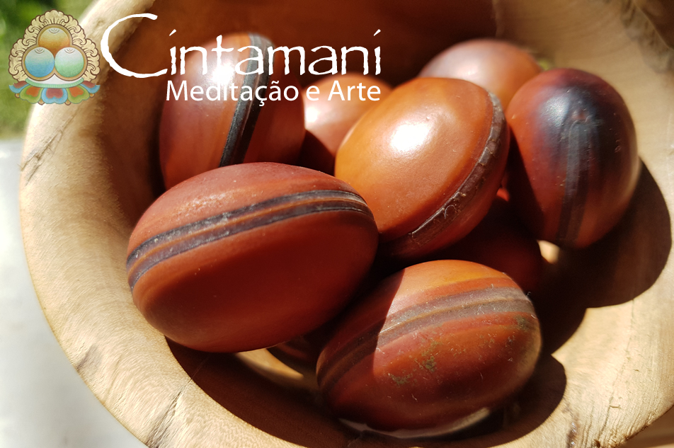 Shingnya | Cintamani